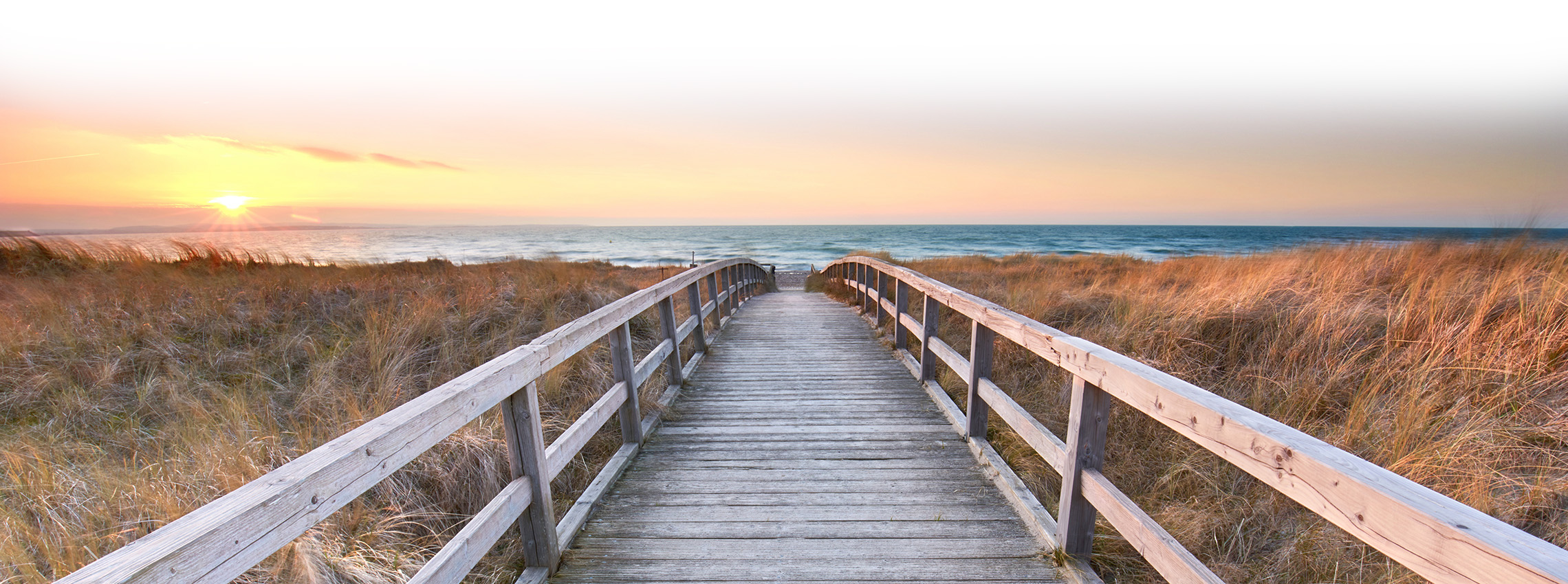 Home - Shore Line Trail